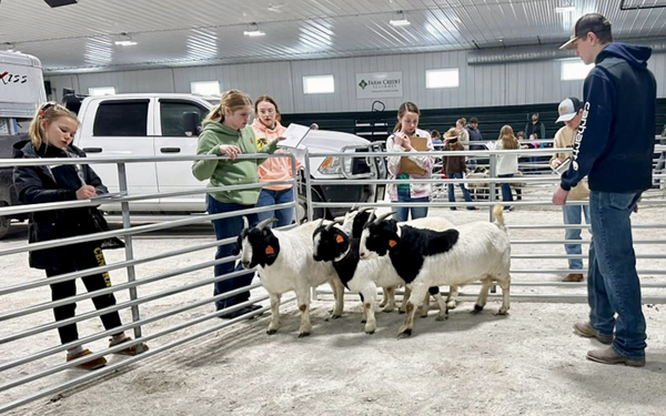 JWCC ag center hosts livestock evaluation clinic – River County News